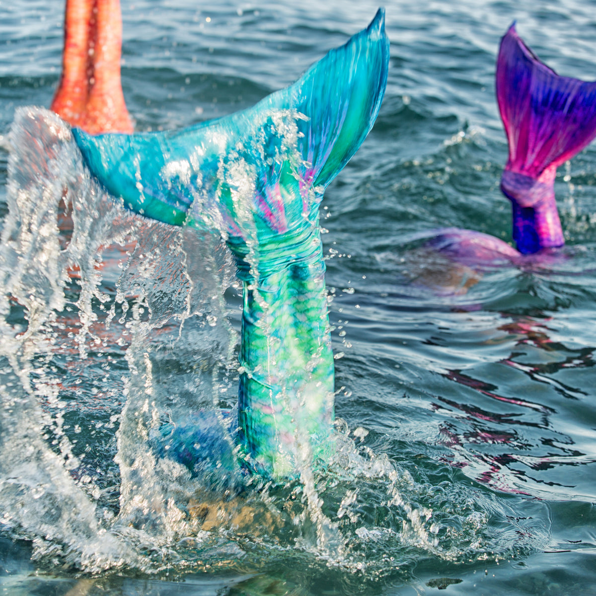 Sea Star Mermaid Tail Set | Planet Mermaid UK